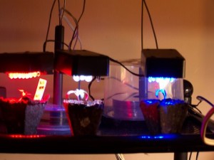 27 DIY Led Grow Lights For Growing Plants Indoors – Home And Gardening ...