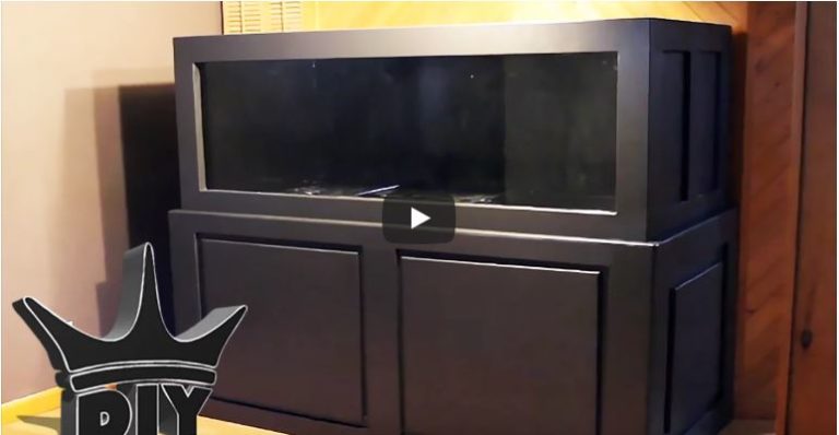 37 DIY Aquarium Stands For Various Sizes Of Fish Tanks – Home And ...