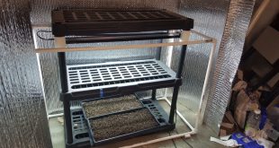 24 DIY Grow Boxes to Control the Growing Environment – Home And ...