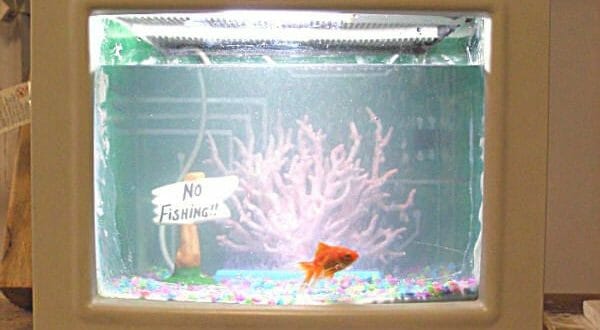 Index of /wp-content/uploads/2020/05