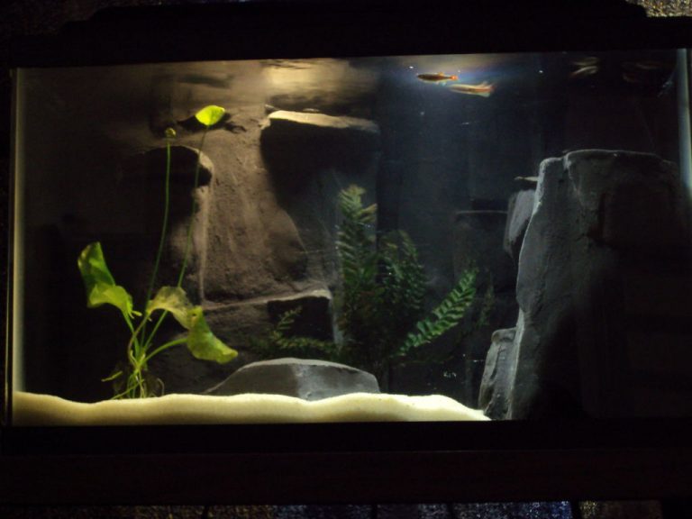 27 Cool DIY Fish Tank Ideas With Tutorials – Home And Gardening Ideas