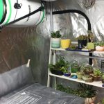 27 DIY Grow Tent Projects For Growing Plants Indoors – Home And ...