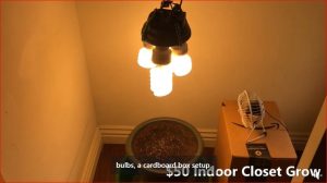 27 DIY Grow Tent Projects For Growing Plants Indoors – Home And ...